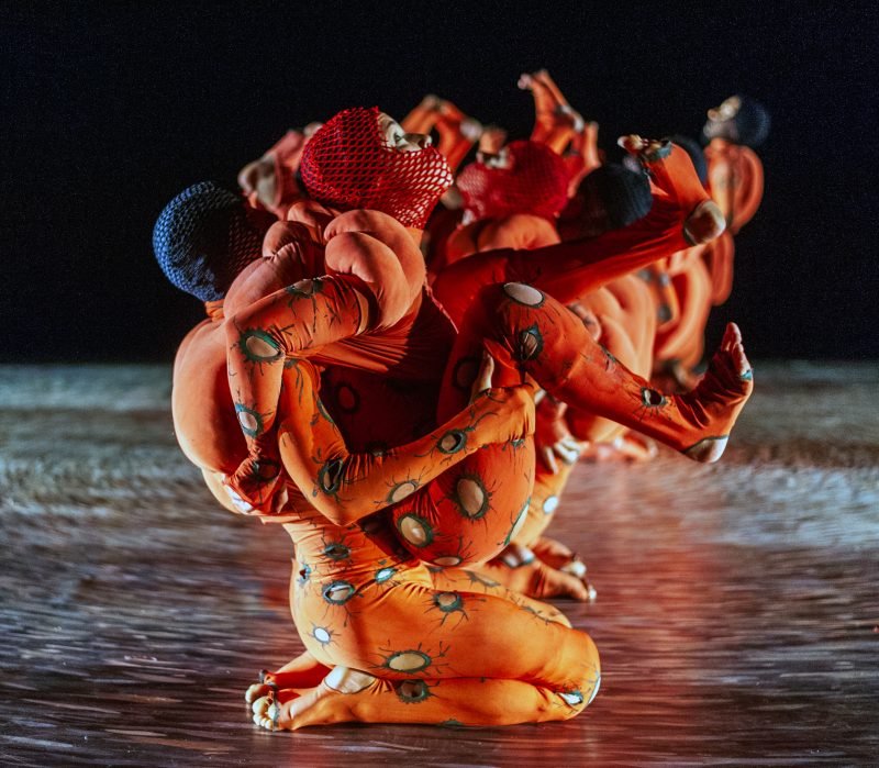 Colker traz obra de Stravinsky para RP - Tribuna Ribeirão